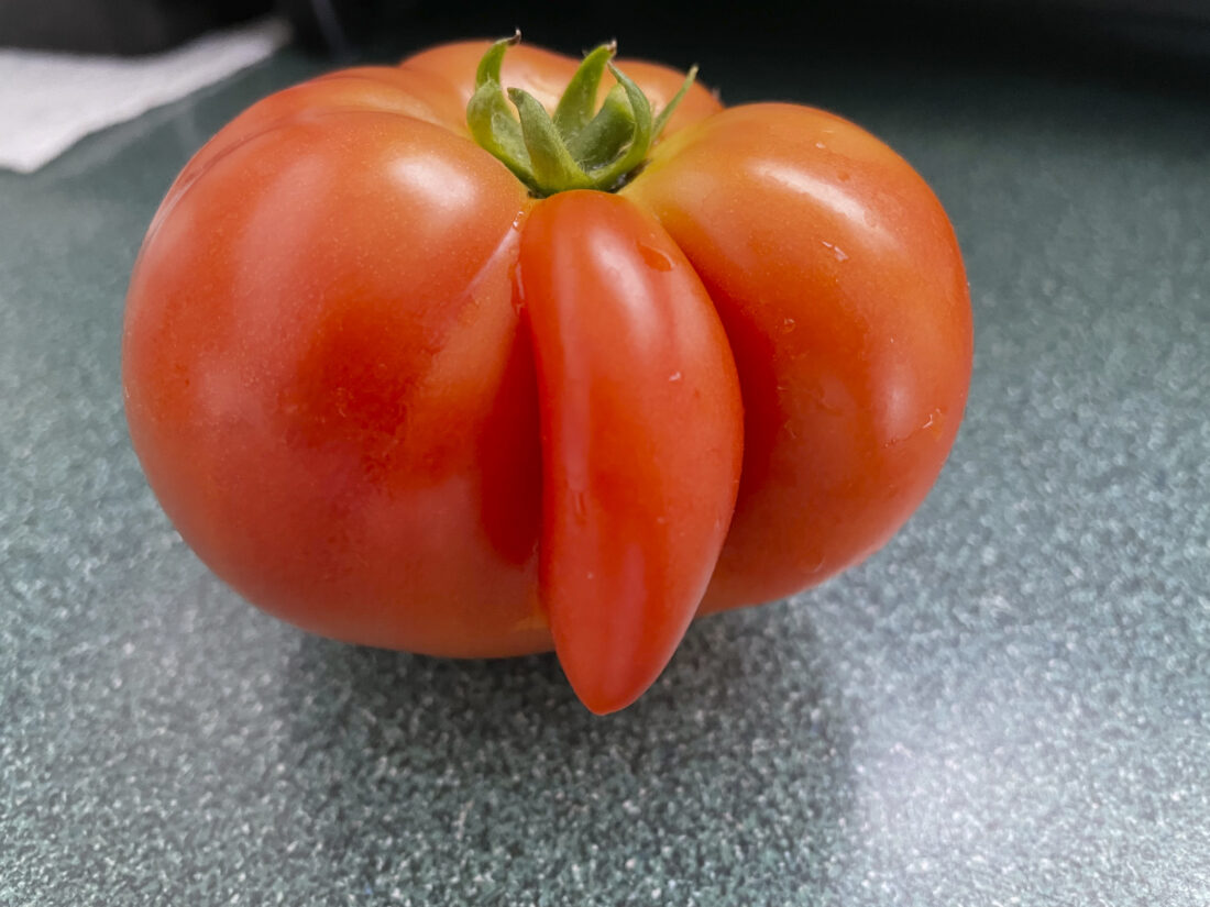 Two Tomatoes Cherokee Carbon Pole Tomato Seeds – Botanical Interests